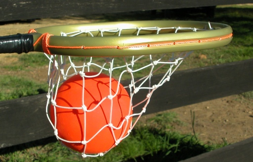 Pro Racket Head with Net "Pro" Racket Head with Net [C2] - $136.00 ...